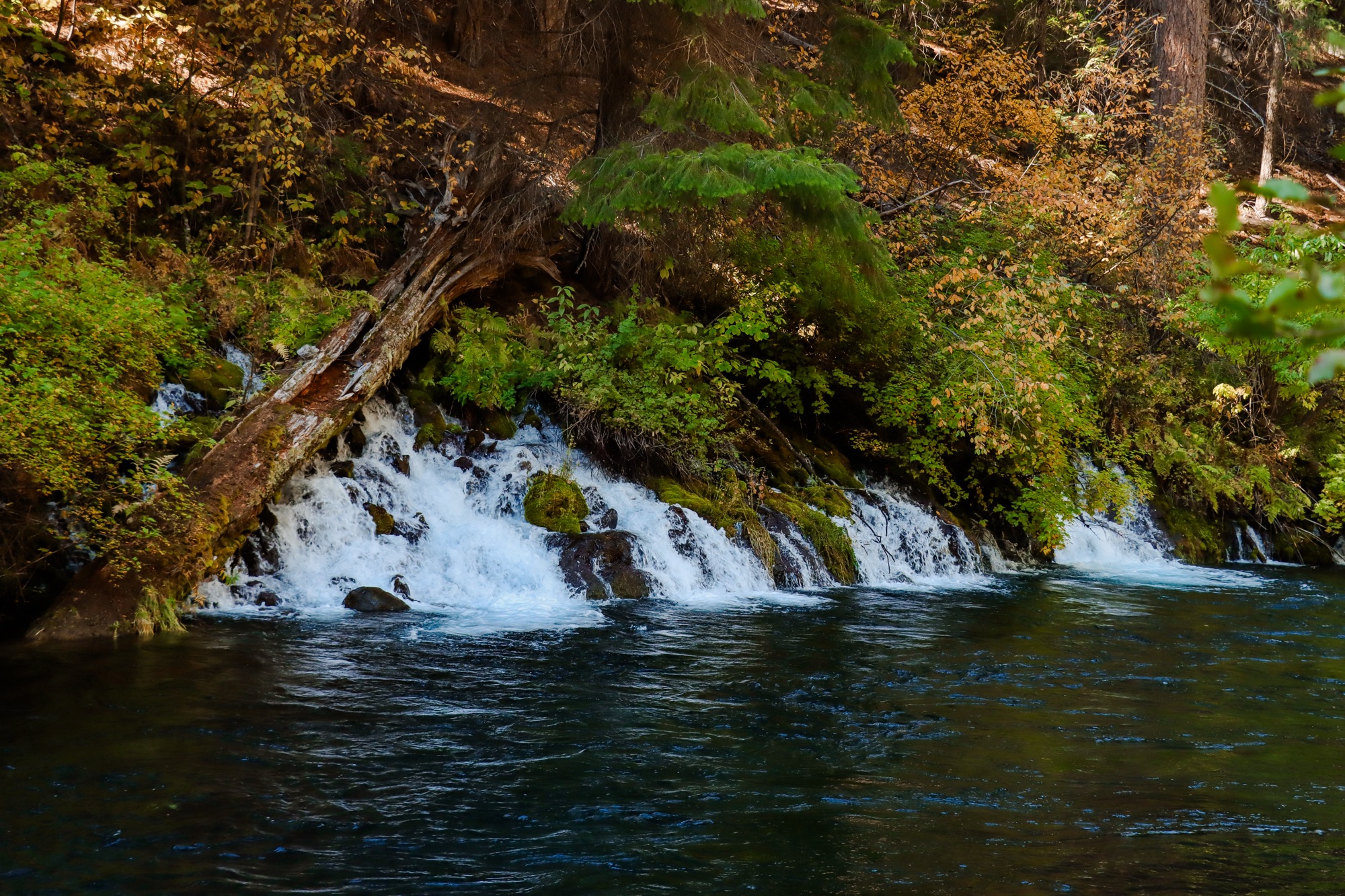 Best Spring Hikes in Oregon; Bend, Columbia River Gorge, Coast – Mariah ...