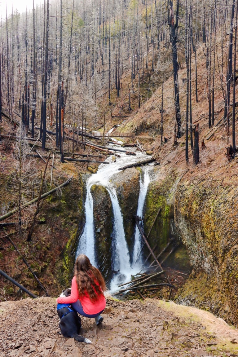 Best Spring Hikes in Oregon; Bend, Columbia River Gorge, Coast – Mariah ...